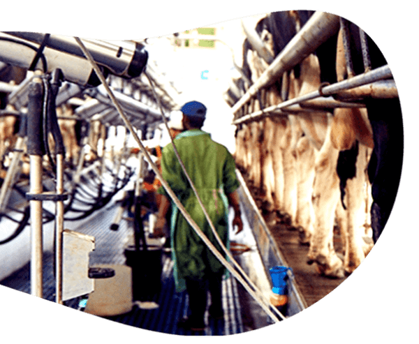 Company Profile - Prema